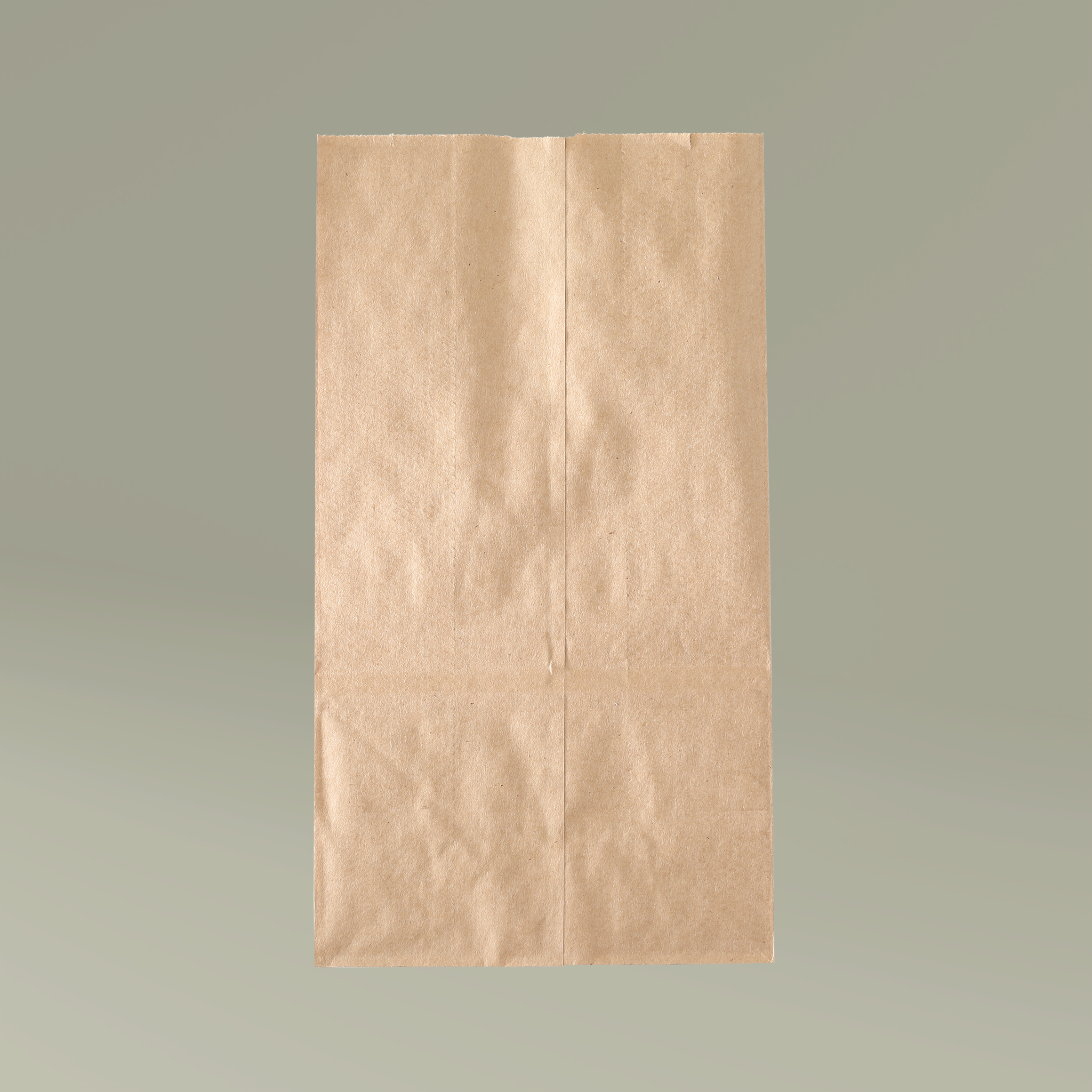 Paper Gift Bag