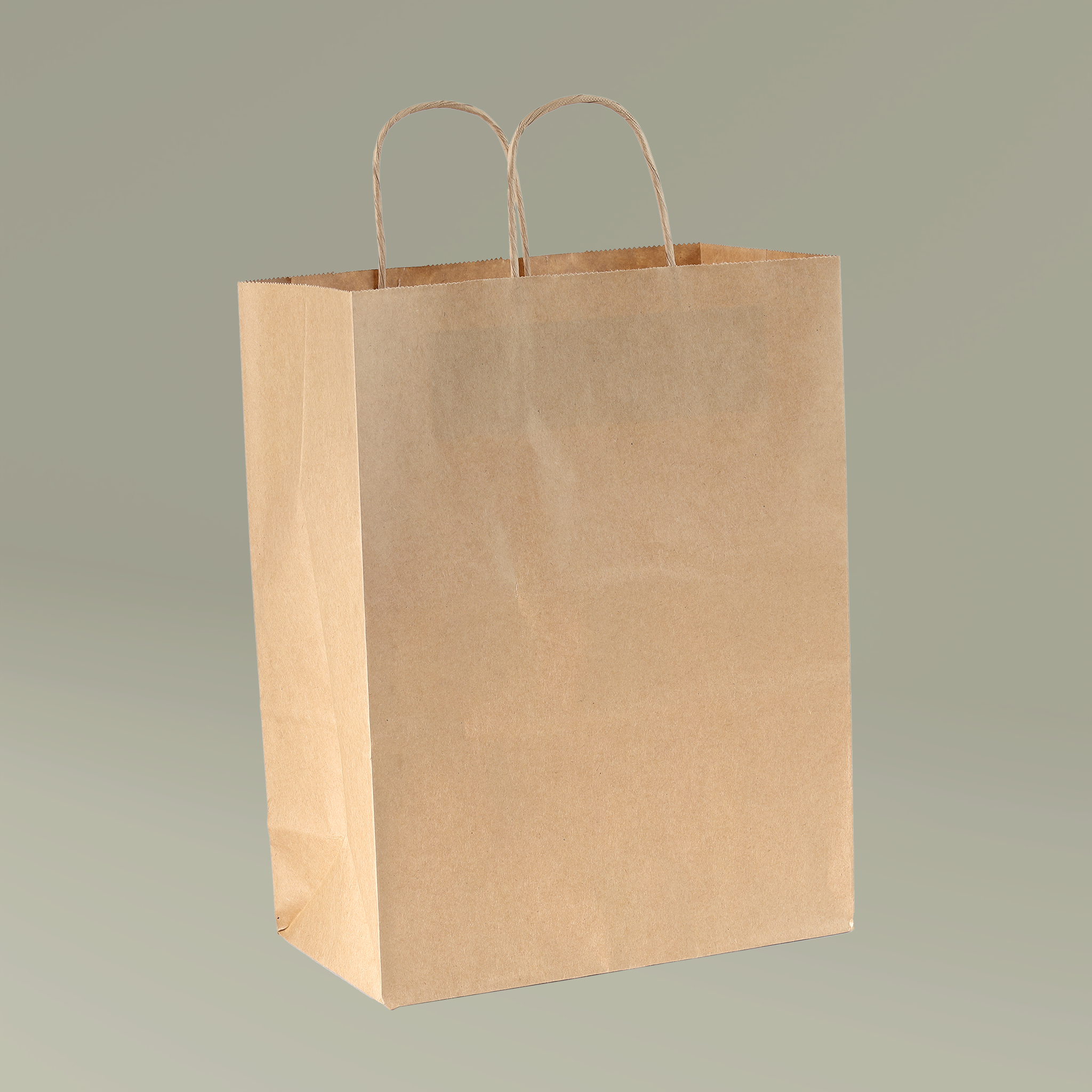 Paper Gift Bag