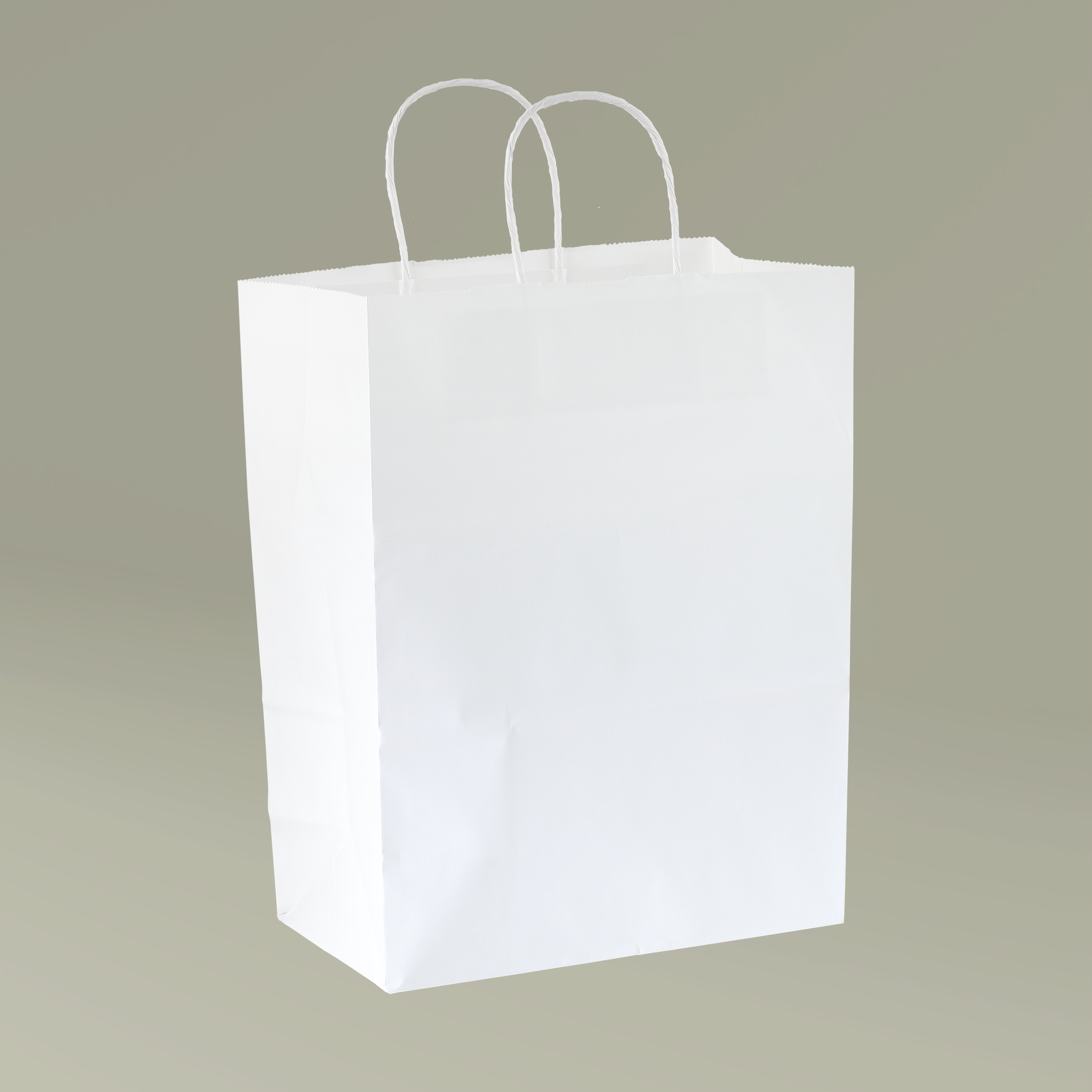 Paper Gift Bag