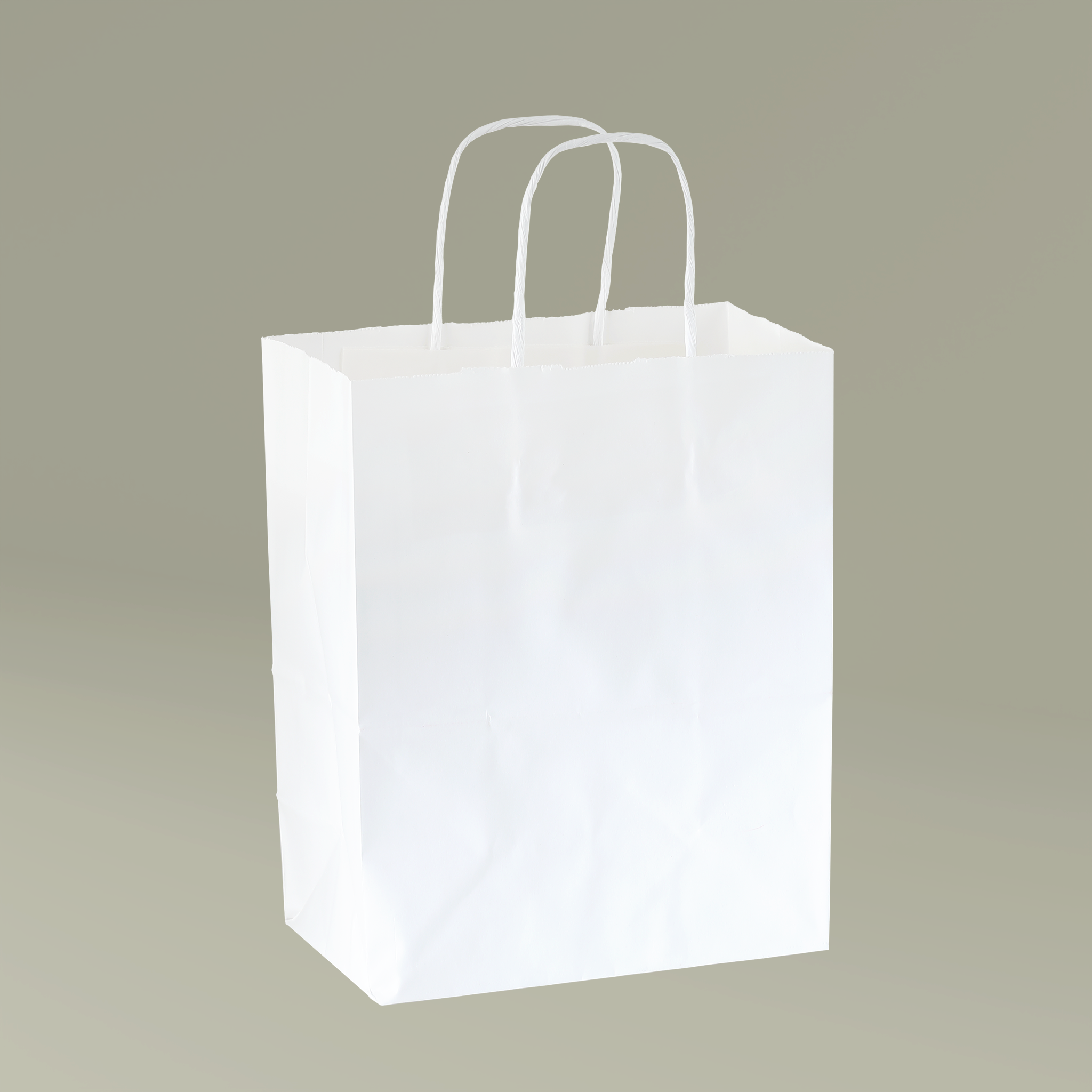 Paper Gift Bag