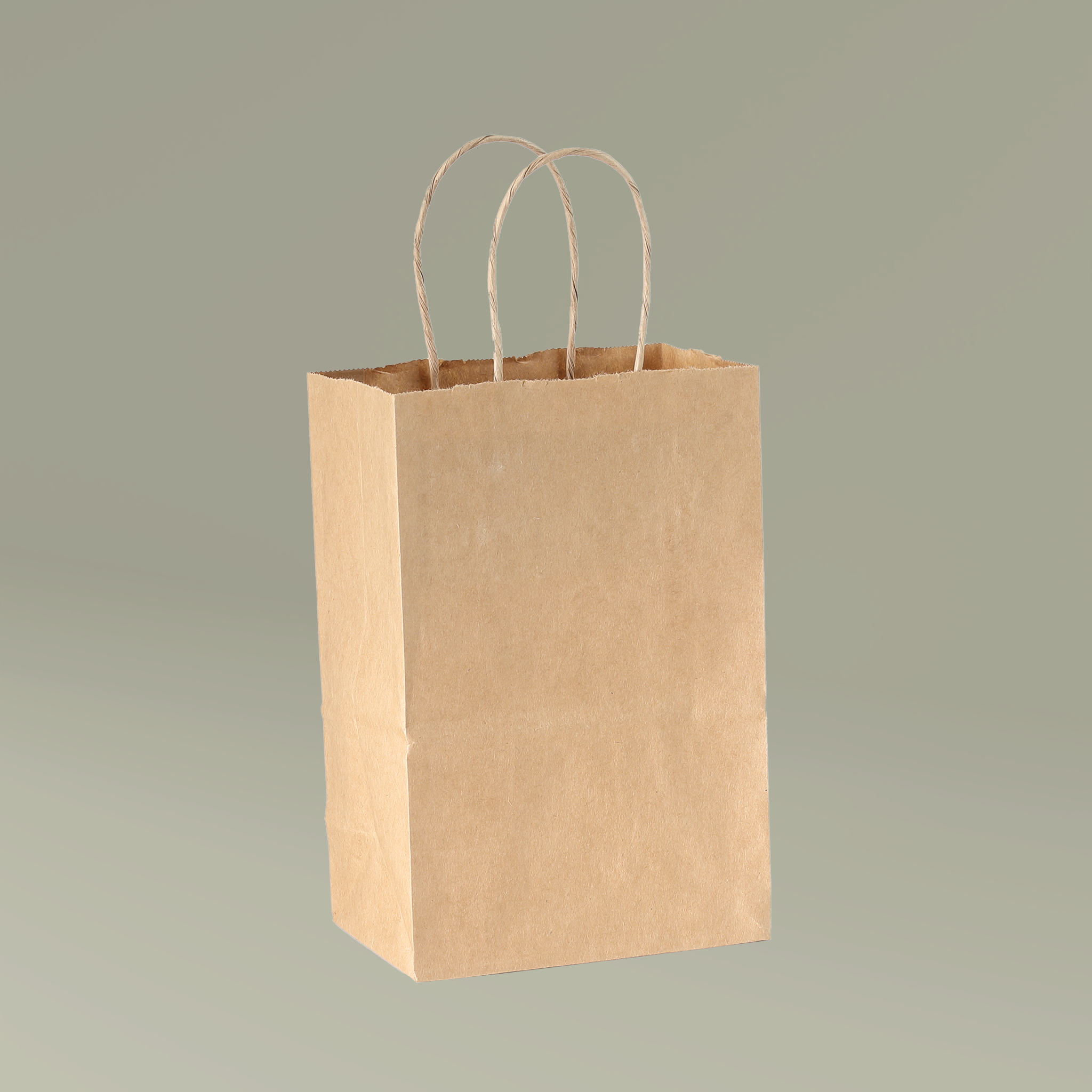 Paper Gift Bag