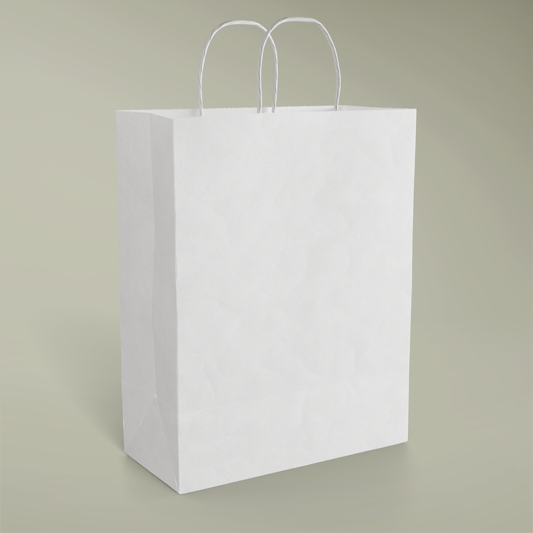 Paper Gift Bag