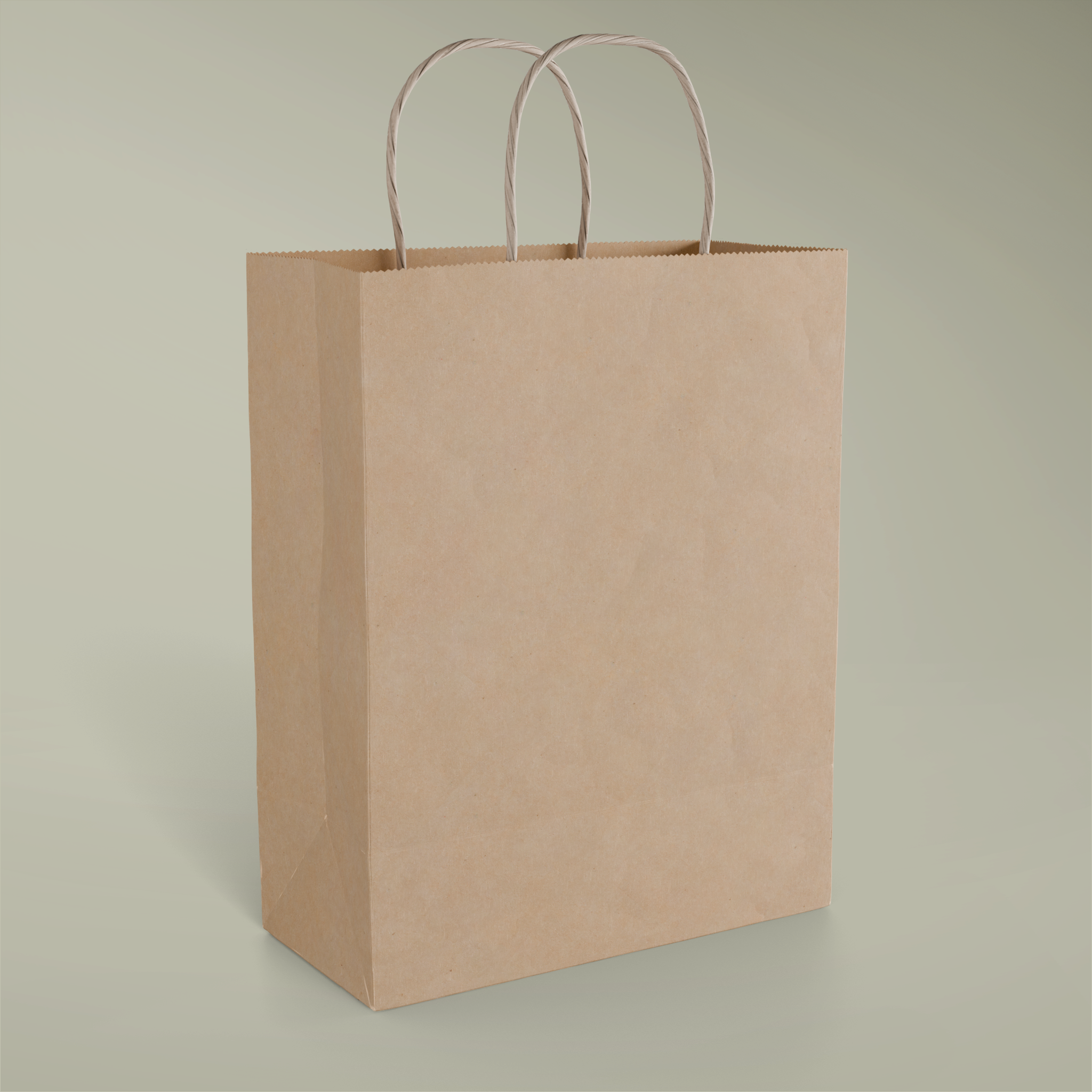 Paper Gift Bag