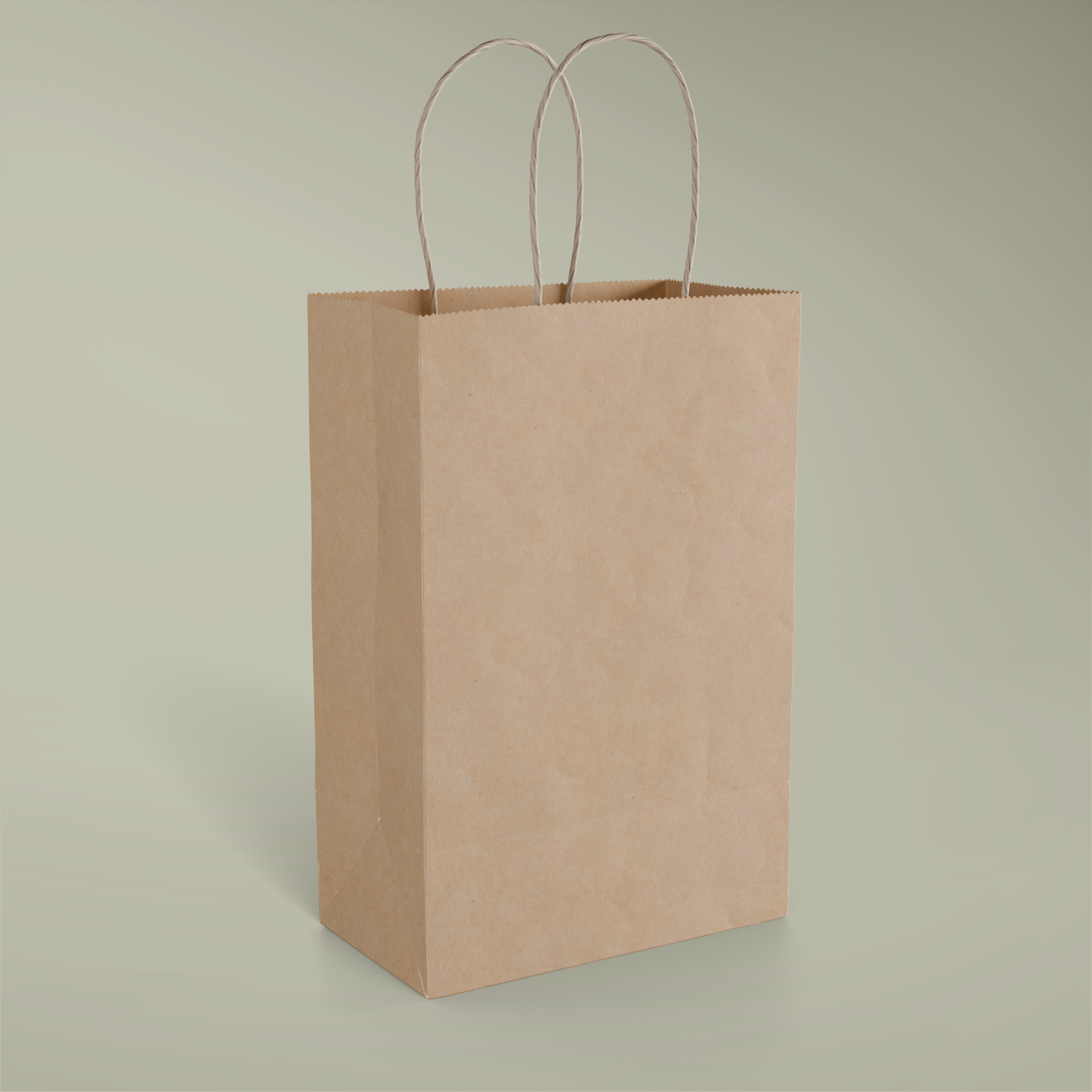 Paper Gift Bag
