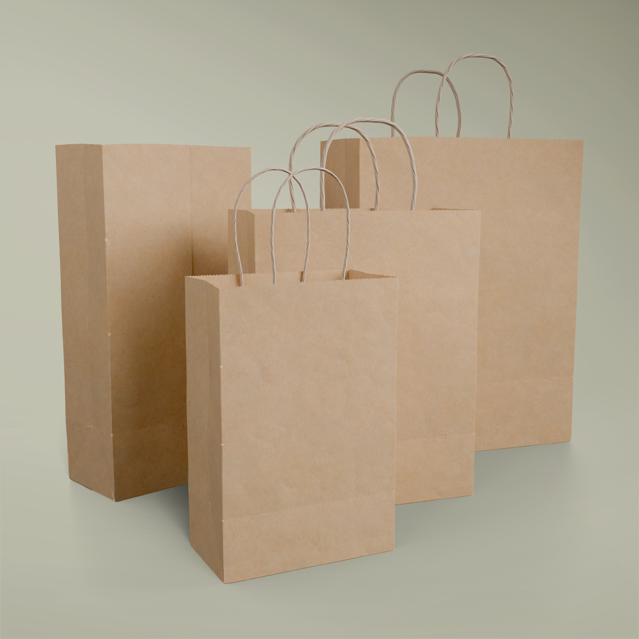 Paper Gift Bag